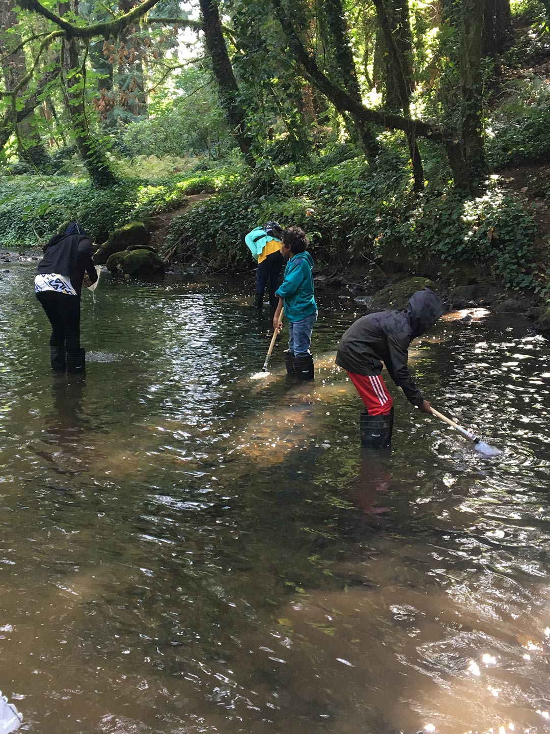 Nurturing Young Environmentalists: Learning from the Leach Botanical ...